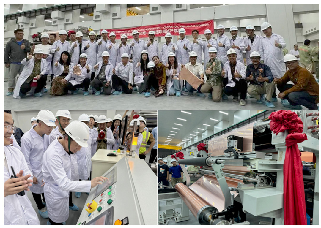 Achieving Success in the First Phase of Hailiang Indonesia Project ...